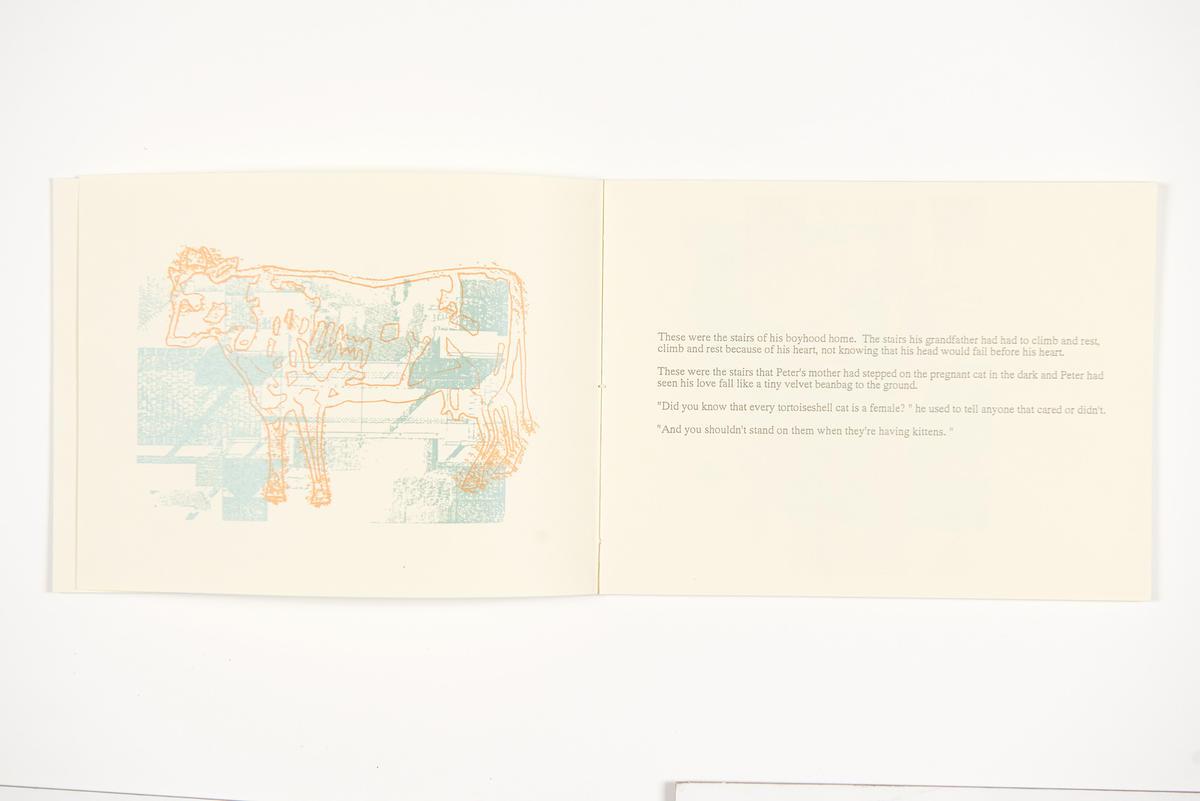 Memory maps - Artspace Mackay