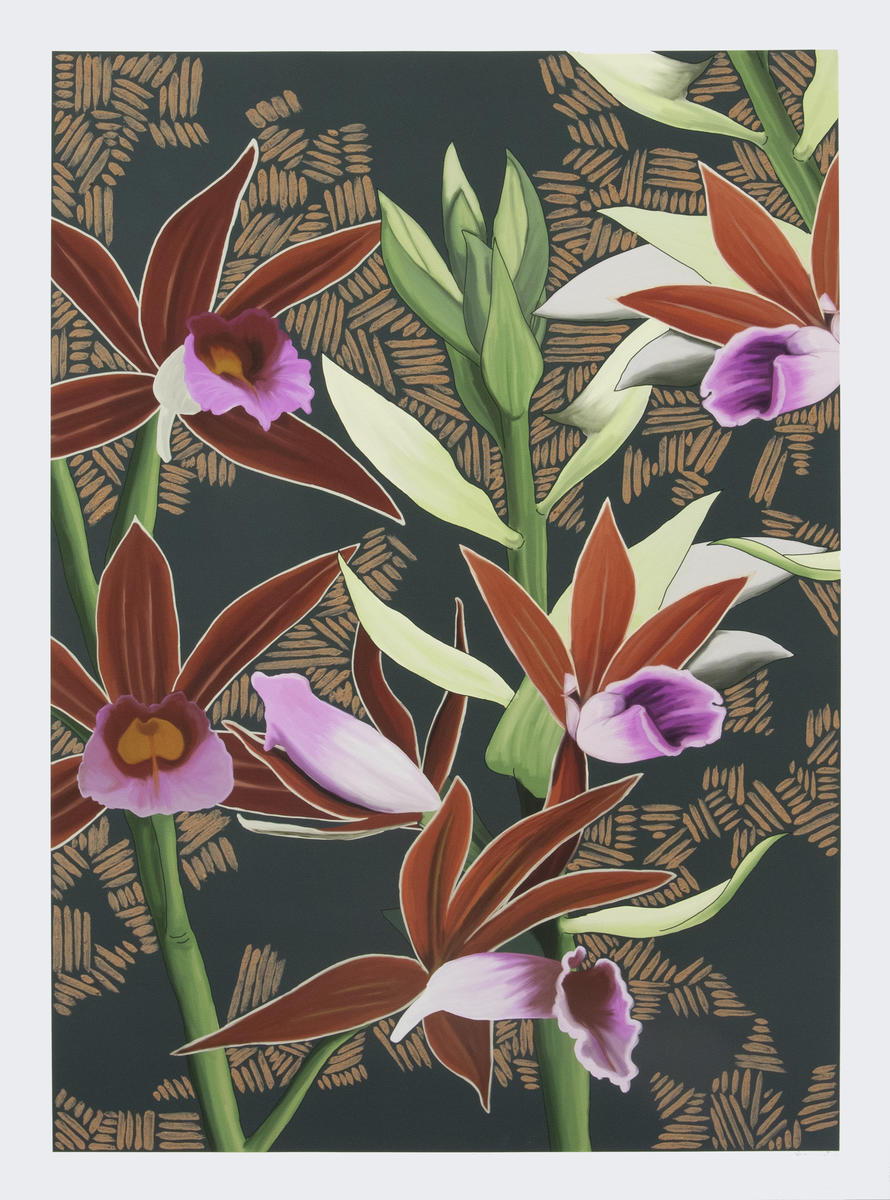 Phaius australis-swamp orchid - Artspace Mackay